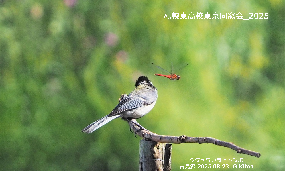 札幌東高校東京同窓会_r07